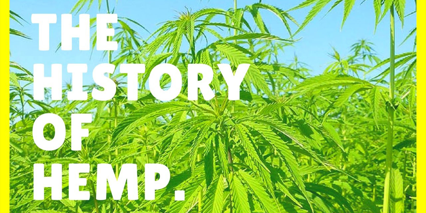 The History of Hemp – Natural Vines LLC